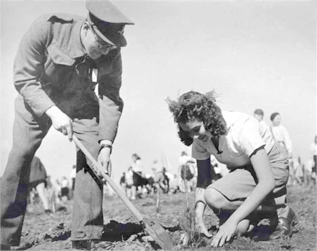 Tu B’Shevat: ‘New Year for Trees’ is Feb. 2 - The Jewish World